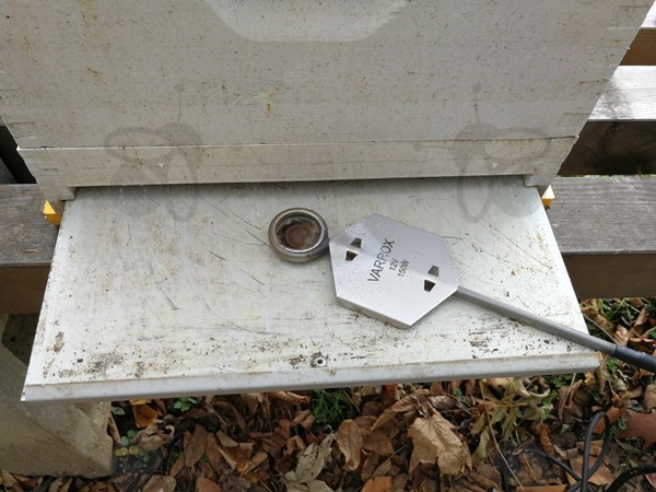 BioVet Varrox vaporizer for oxalic acid, 12V-12A - 7811 - Logar honey ...